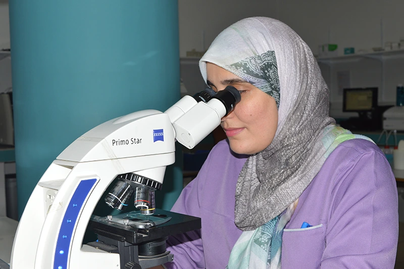 Galerie – Laboratoire TIFAOUINE